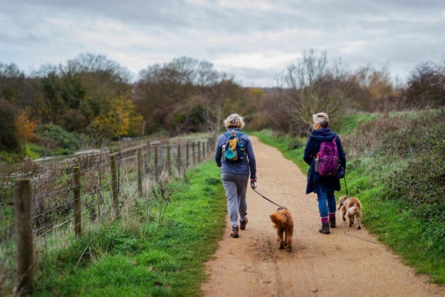 Step up to more healthy walking in September - trundl